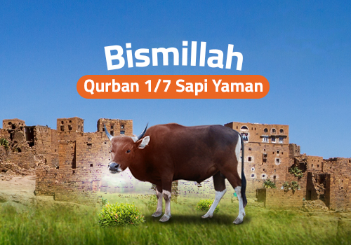 Qurban 1/7 Sapi Yaman