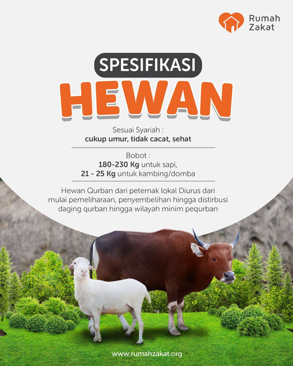 Desaku Berqurban 1/7 Sapi