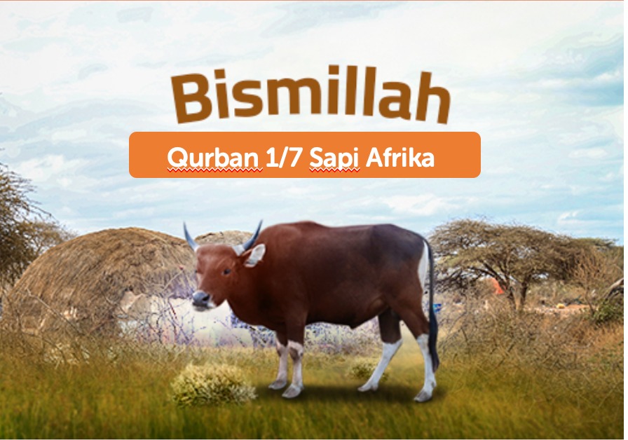 Qurban 1/7 Sapi Afrika